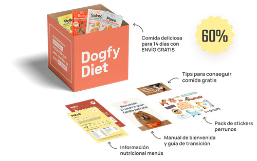 Comida Natural para Tu Perro al -60% | Dogfy Diet